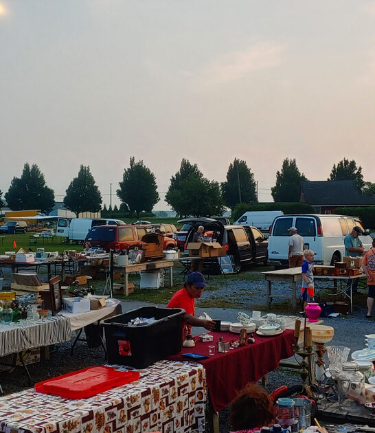 pennsylvania enormous flea paradise ftr