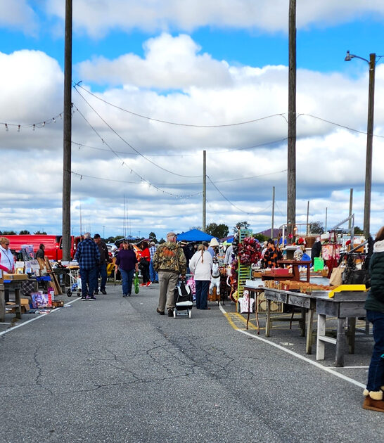 pennsylvania flea unbelievable deals ftr