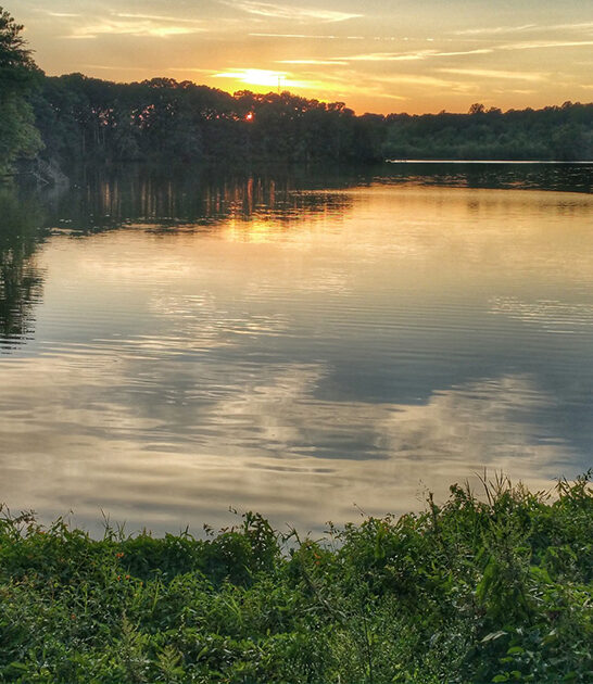 picturesque delaware park state ftr