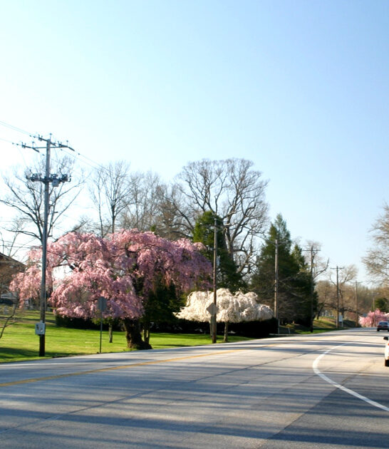 picturesque road trips delaware ftr