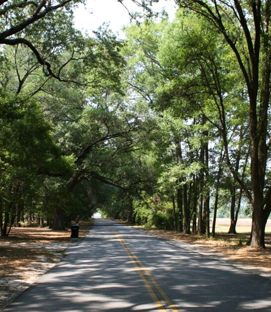 picturesque road trips georgia ftr