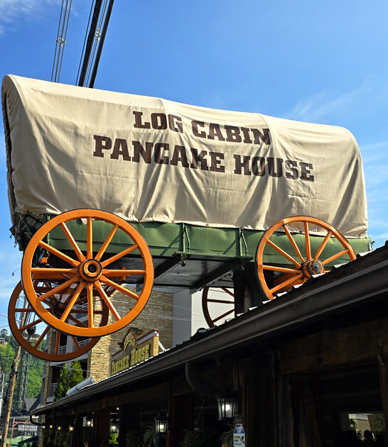 pigs blanket restaurant tennessee ftr