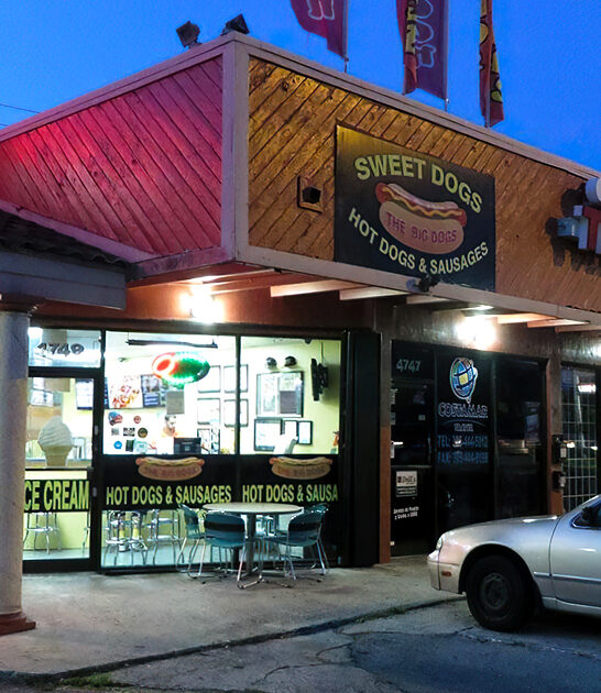 polish sausage florida hotdogs ftr