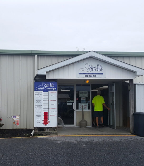 popular rare shop delaware ftr