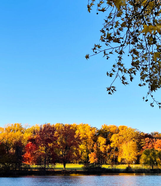 postcard state park delaware FTR