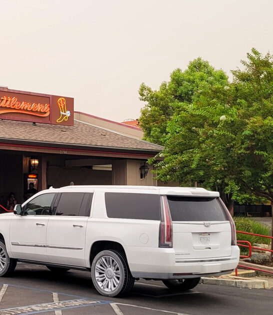 prime cut heaven california ftr