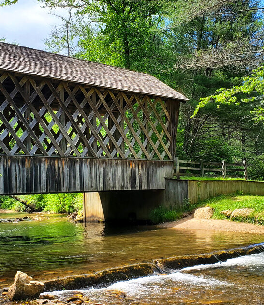 quiet wilderness escape georgia ftr