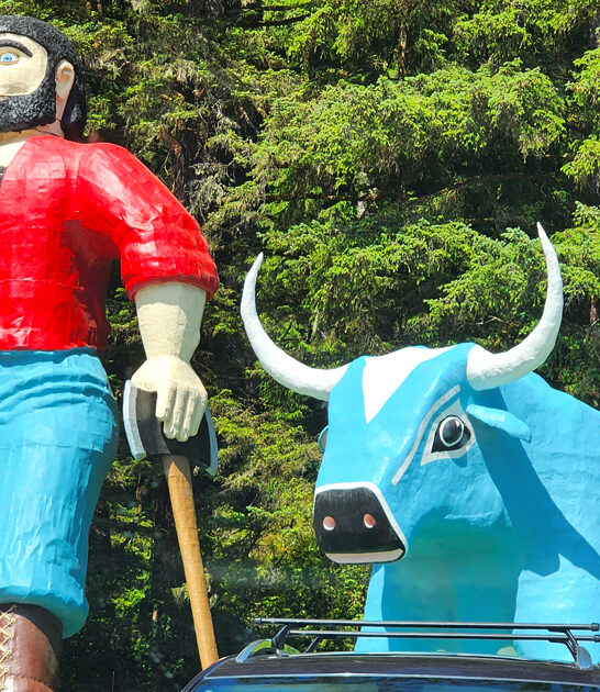 quirky roadside marvel california ftr