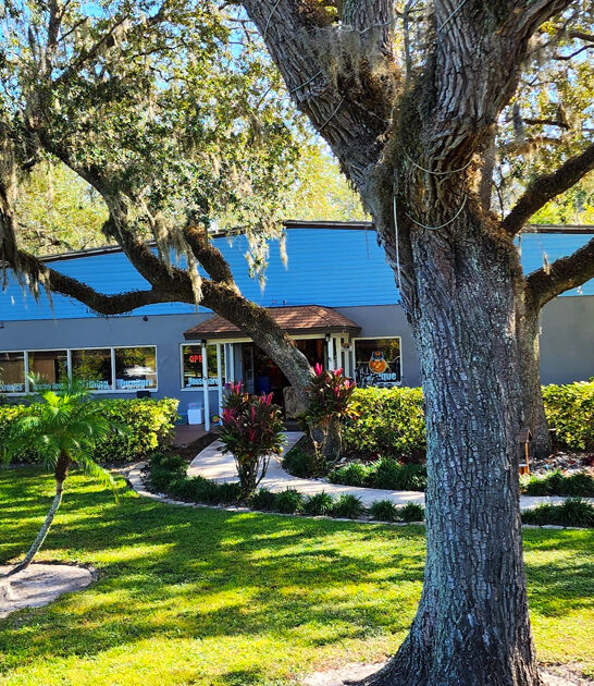 rare finds florida thrift ftr