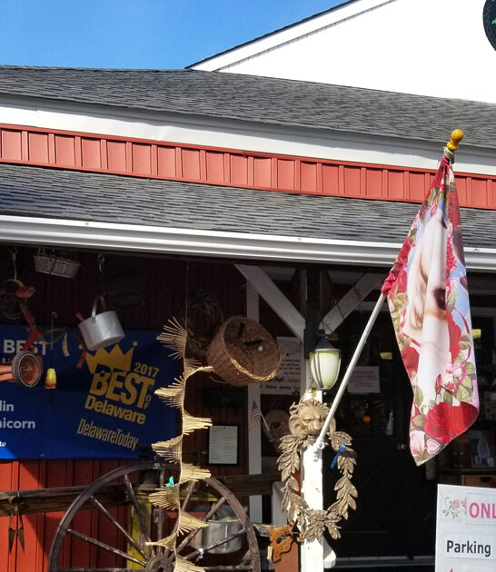rare vintage store delaware ftr