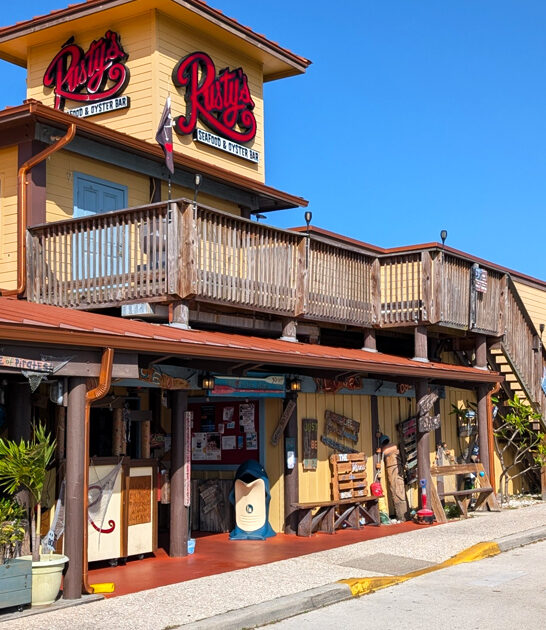 raw oysters place florida ftr