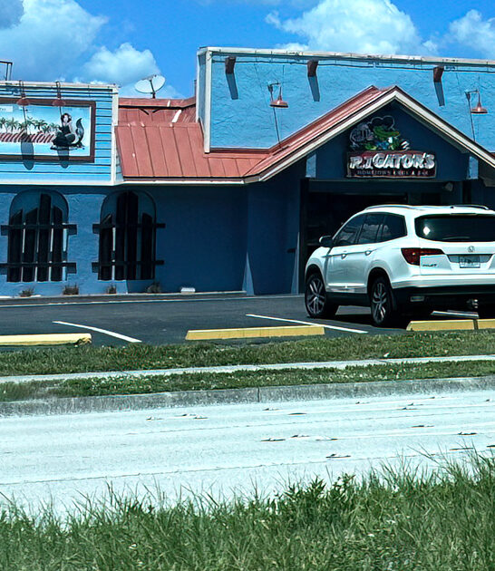 remarkable stuffed grouper florida ftr