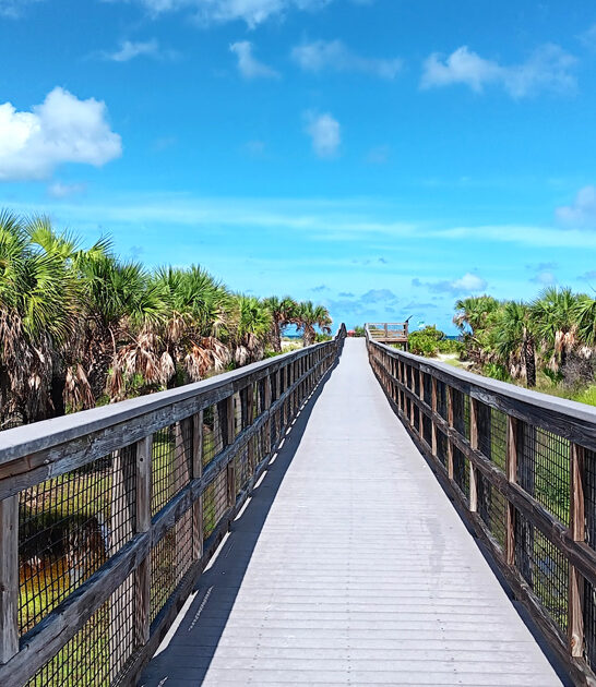 remote gorgeous park florida ftr