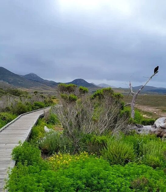 remote park california known ftr