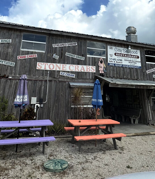 restaurant florida chicken sandwich ftr