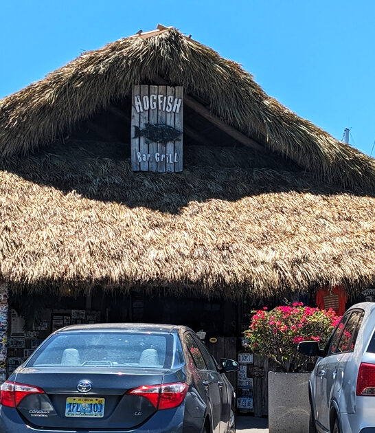 restaurant florida conch fritters ftr