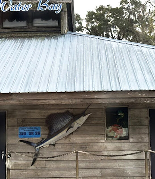 restaurant florida grilled cobia ftr