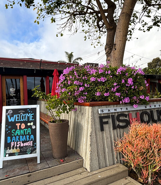 restaurant mahi mahi california ftr