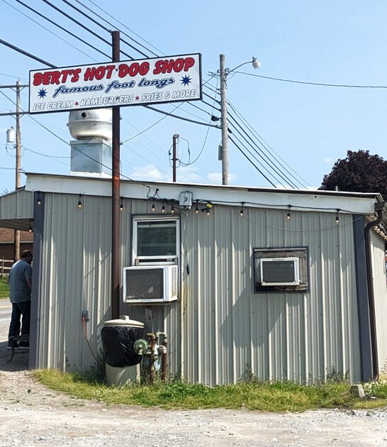 restaurant pennsylvania onion rings ftr