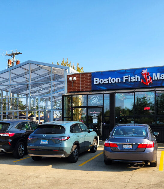 restaurants illinois freshest seafood ftr