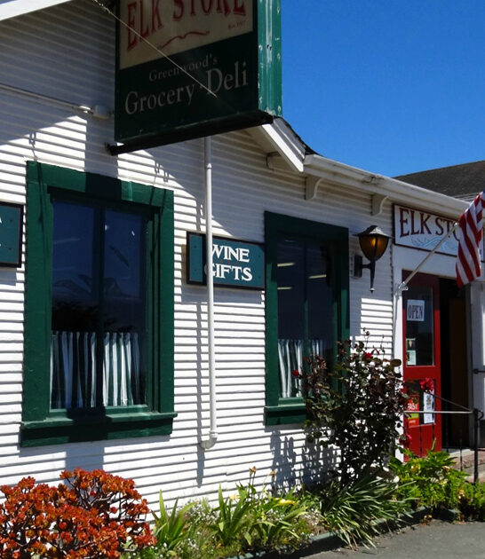 sandwiches general store california ftr