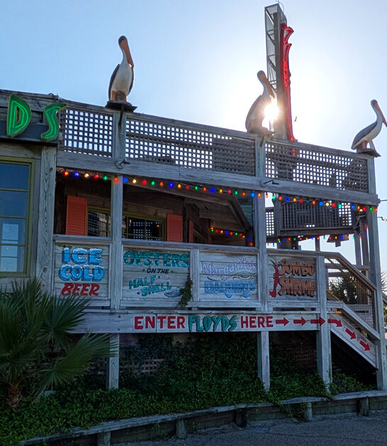 savory fried shrimp florida ftr