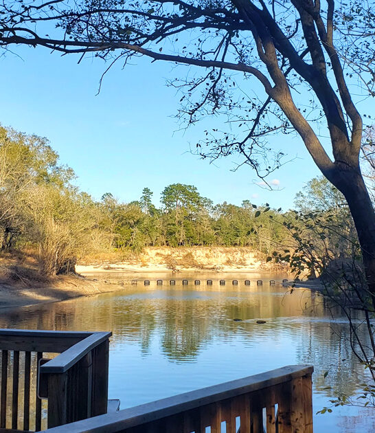 scenic adventures florida park ftr