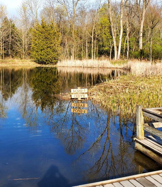 scenic local park ohio ftr