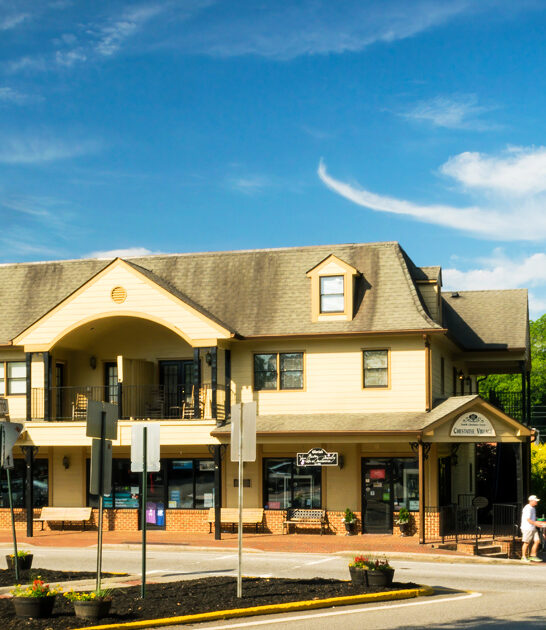 scenic mountain towns georgia ftr