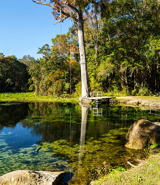 scenic natural florida spring ftr
