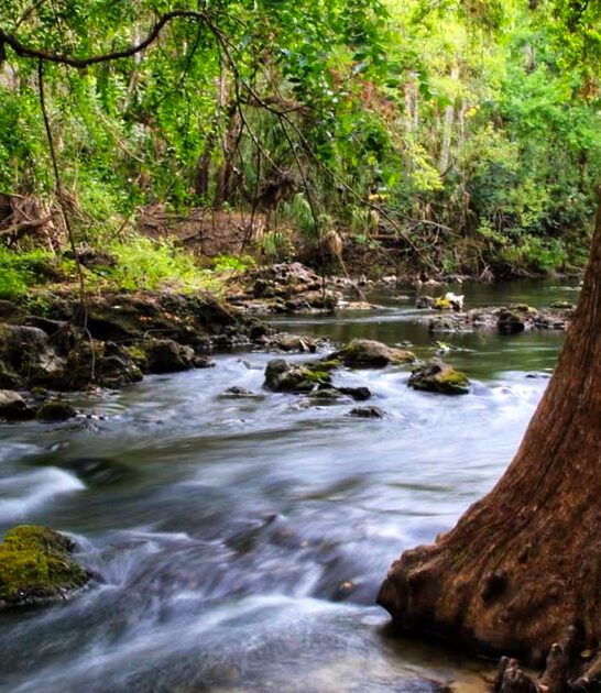 scenic park florida hidden ftr