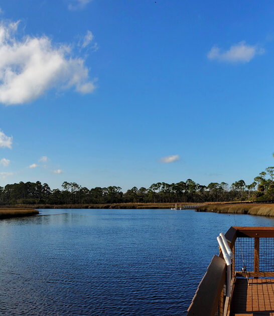 scenic park florida know ftr