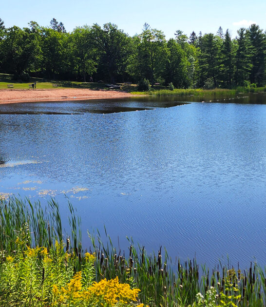 scenic state park wisconsin ftr