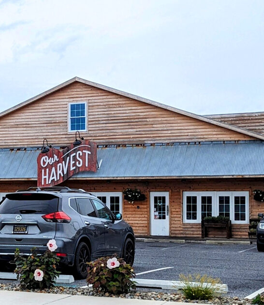 seafood paella restaurant delaware ftr