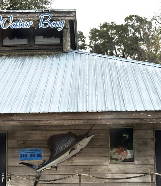 seafood platter florida restaurant FTR