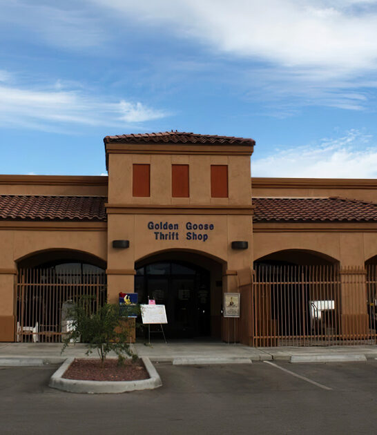 secondhand cool shop arizona ftr