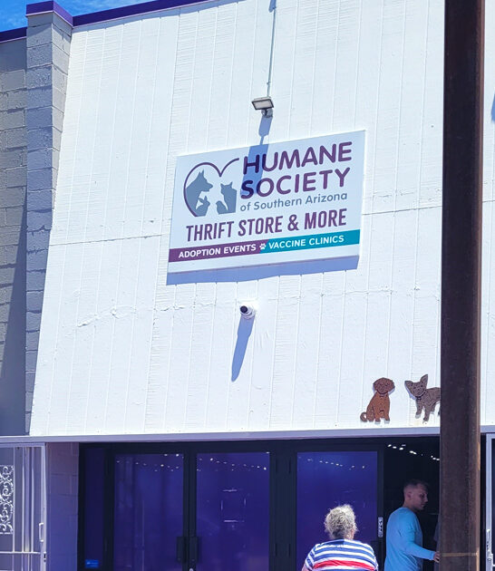 secondhand gigantic shop arizona ftr
