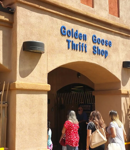 secondhand great shop arizona ftr