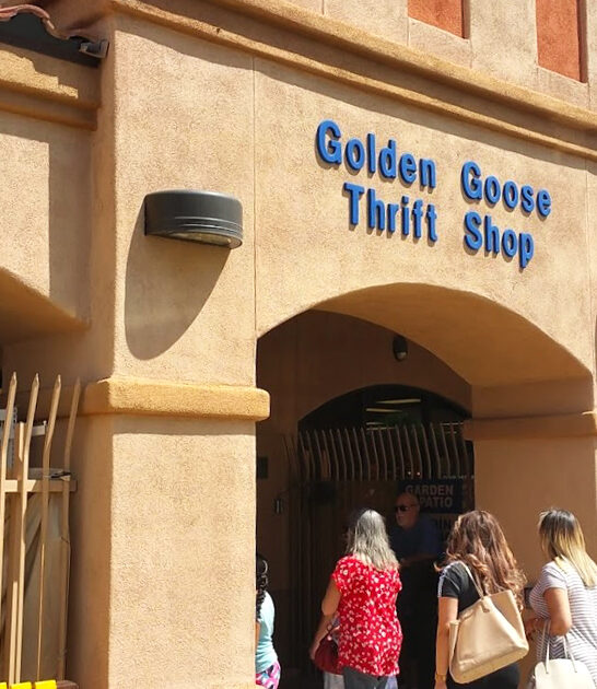 secondhand rare shop arizona ftr