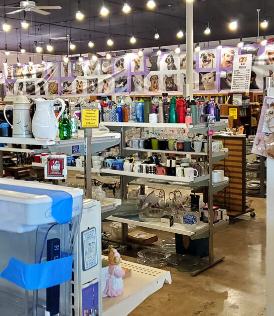 secondhand shop arizona cart ftr