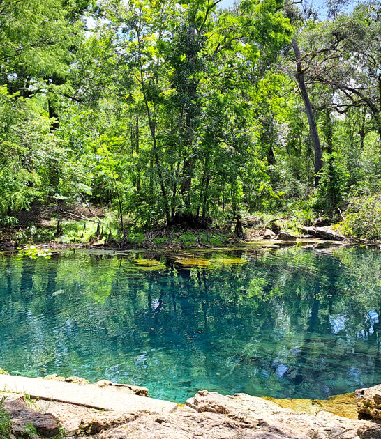 secret crystal spring florida ftr
