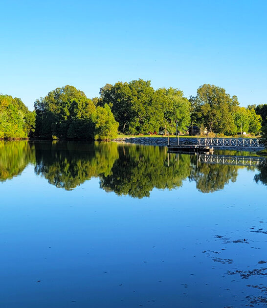 secret natural marvel illinois ftr