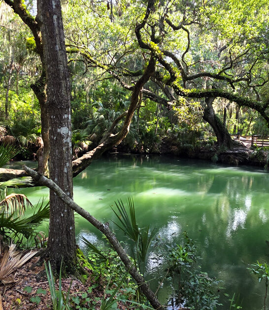 secret sulfur spring florida ftr