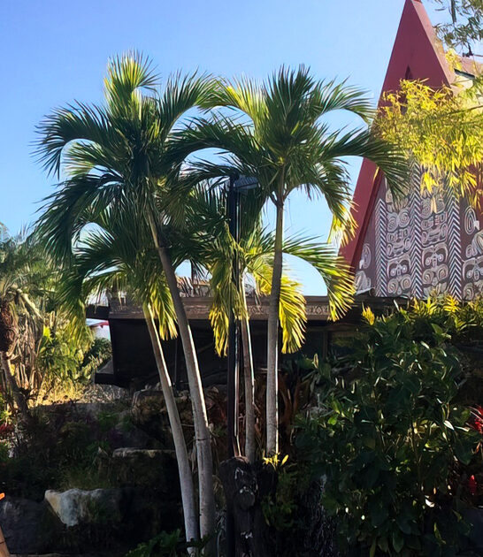secret tiki bars florida ftr