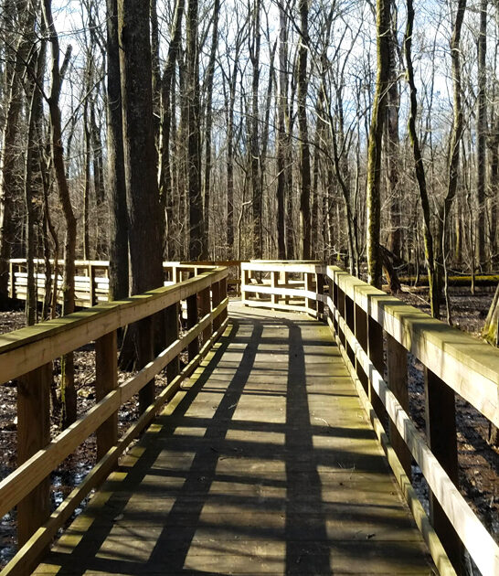 serene state park tennessee ftr