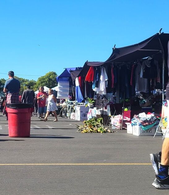shopping california treasure hunt ftr