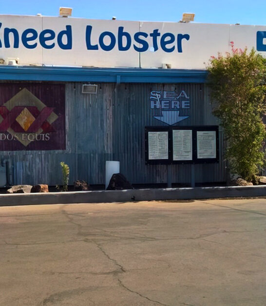 shrimp chips arizona restaurant ftr