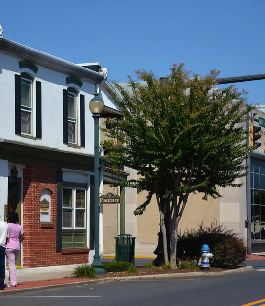 slow towns delaware mayberry ftr
