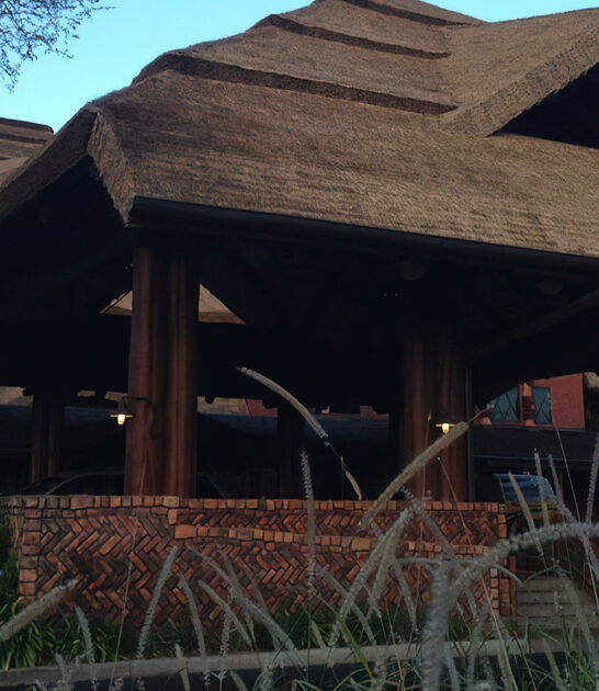south african diner florida ftr
