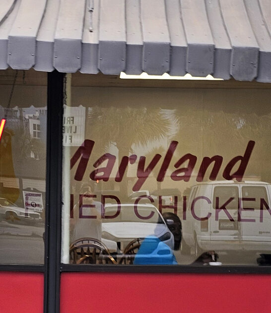 south carolina chicken famous ftr